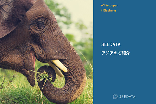 資料ダウンロードありがとうございました - SEEDATA